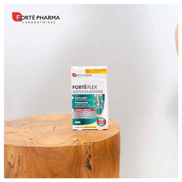 Forté Pharma Forte Flex Articulations - Articulations, Cartilages, Os ...