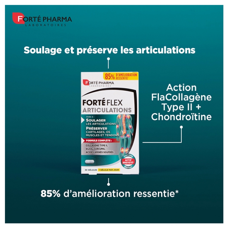 Forté Pharma Forte Flex Articulations - Articulations, Cartilages, Os ...