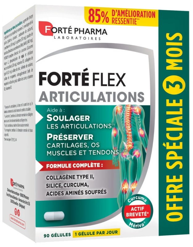Forté Pharma Forte Flex Articulations - Articulations, Cartilages, Os ...